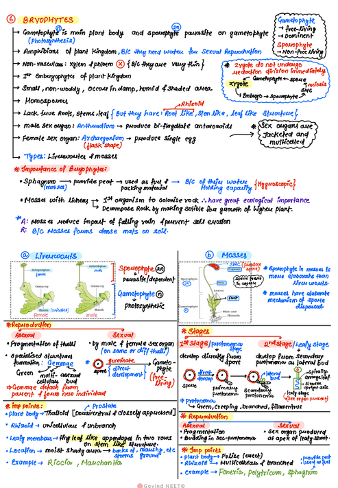Complete Class 11 BIOLOGY Handwritten NOTES – Govind NEET